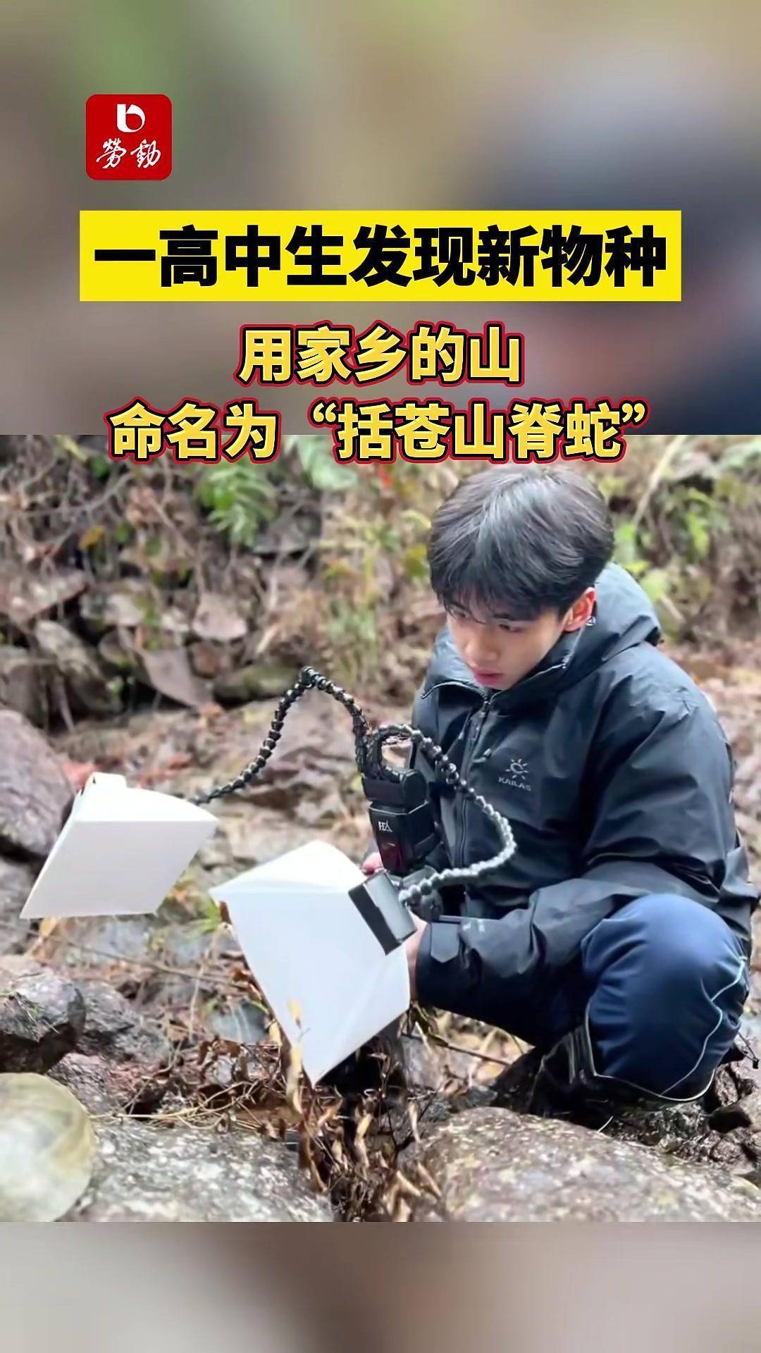一高中生发现新物种,用家乡的山命名为"括苍山脊蛇"#括苍山脊蛇#新...
