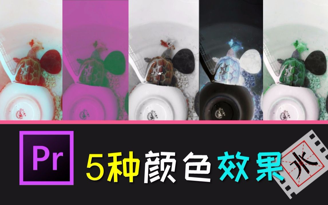 B站自学Pr,5种颜色效果,草龟:有点意思,美颜了解一下