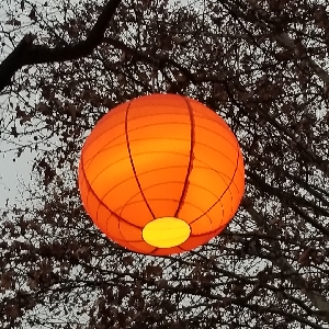 林有雨兮 