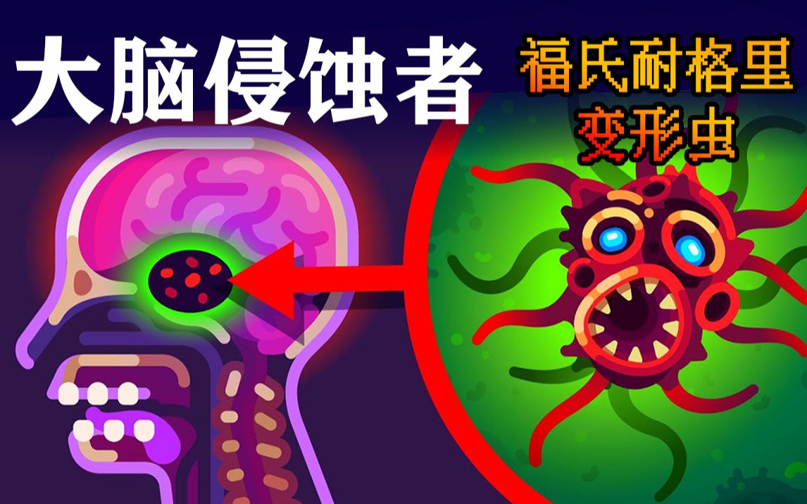 感染就被吞噬大脑,世上最可怕寄生虫之一:福氏耐格里虫
