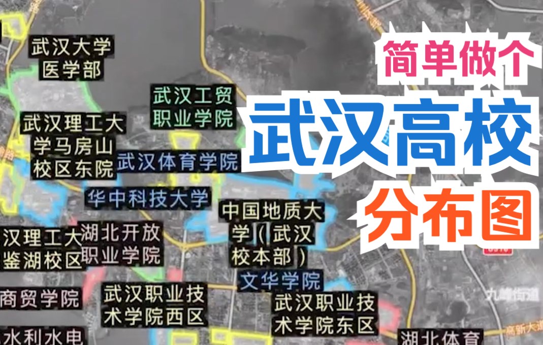简单做个武汉高校分布图