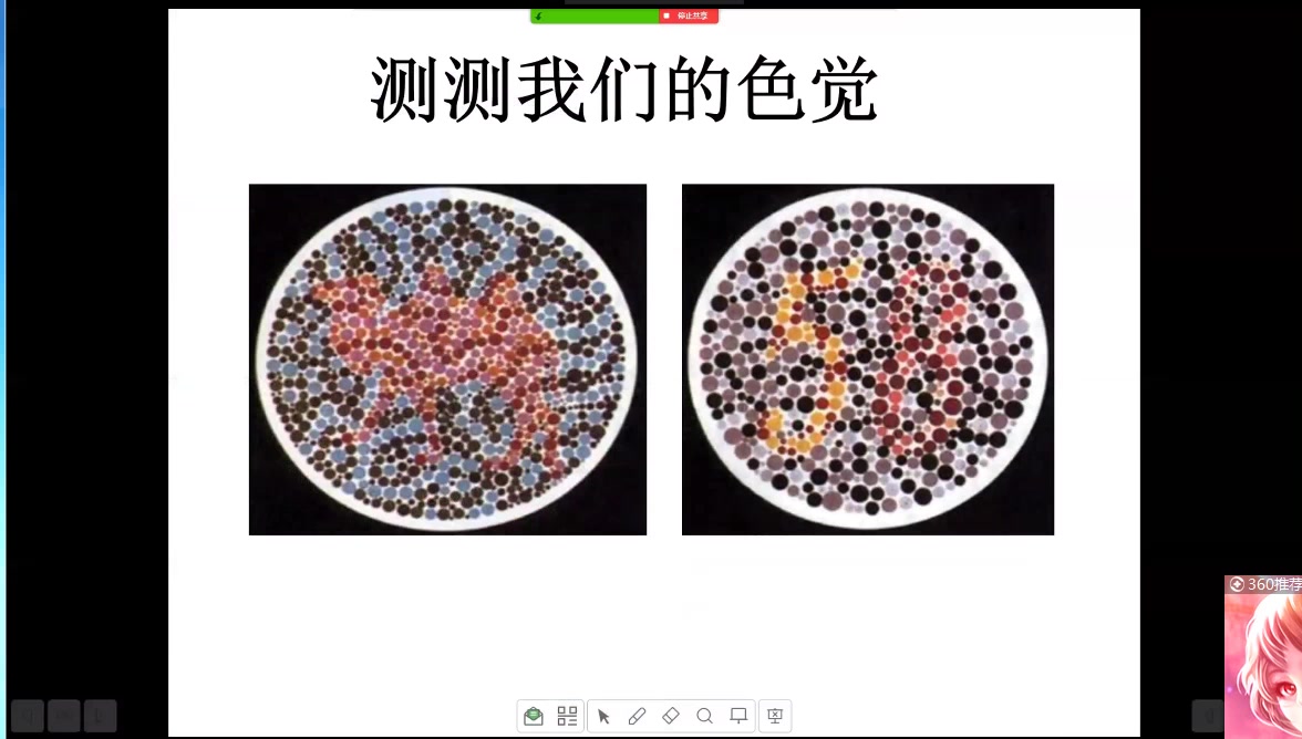 5月6日星期三【生物】伴性遗传