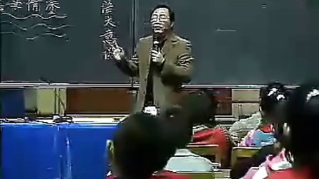 2006 《慈母情深》B课堂实录——新课程小学语文名师课堂实录(集锦)