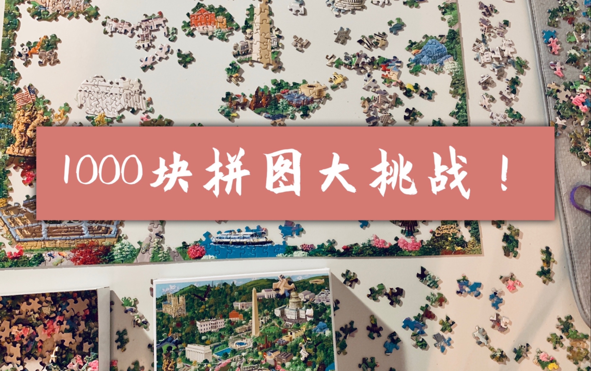 【拼图】1000块拼图到底有多难拼.