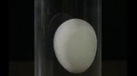 有关鸭蛋在稀盐酸中的沉浮之实验视频
