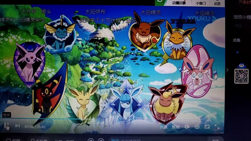 皮卡丘与伊布们的好朋友(中)