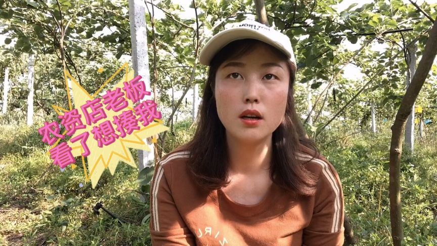 四川美女种猕猴桃十年,亲身经历告诉你,不要被农资店老板忽悠了