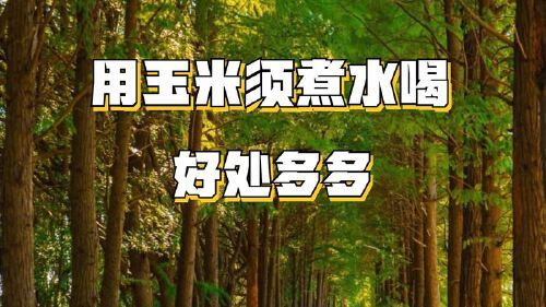 玉米须别再扔!煮水喝竟有这五大神奇功效,省下不少买药钱