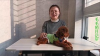 旧衣服利用:4个步骤自制漂亮的狗狗衣服,狗狗穿上后太可爱了