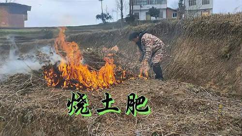 山区农民种地秘诀:簸箕大的地也要烧堆土肥,丰收就靠它!