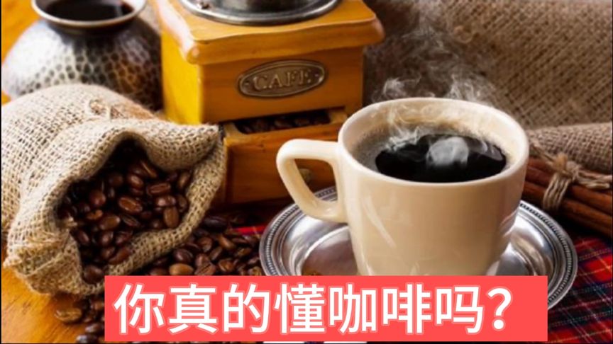 你真的懂咖啡吗?咖啡的种类非常多呢。来看看我的介绍!