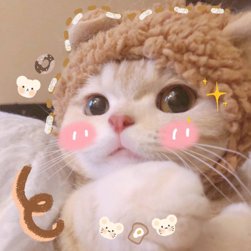 芋泥9- 