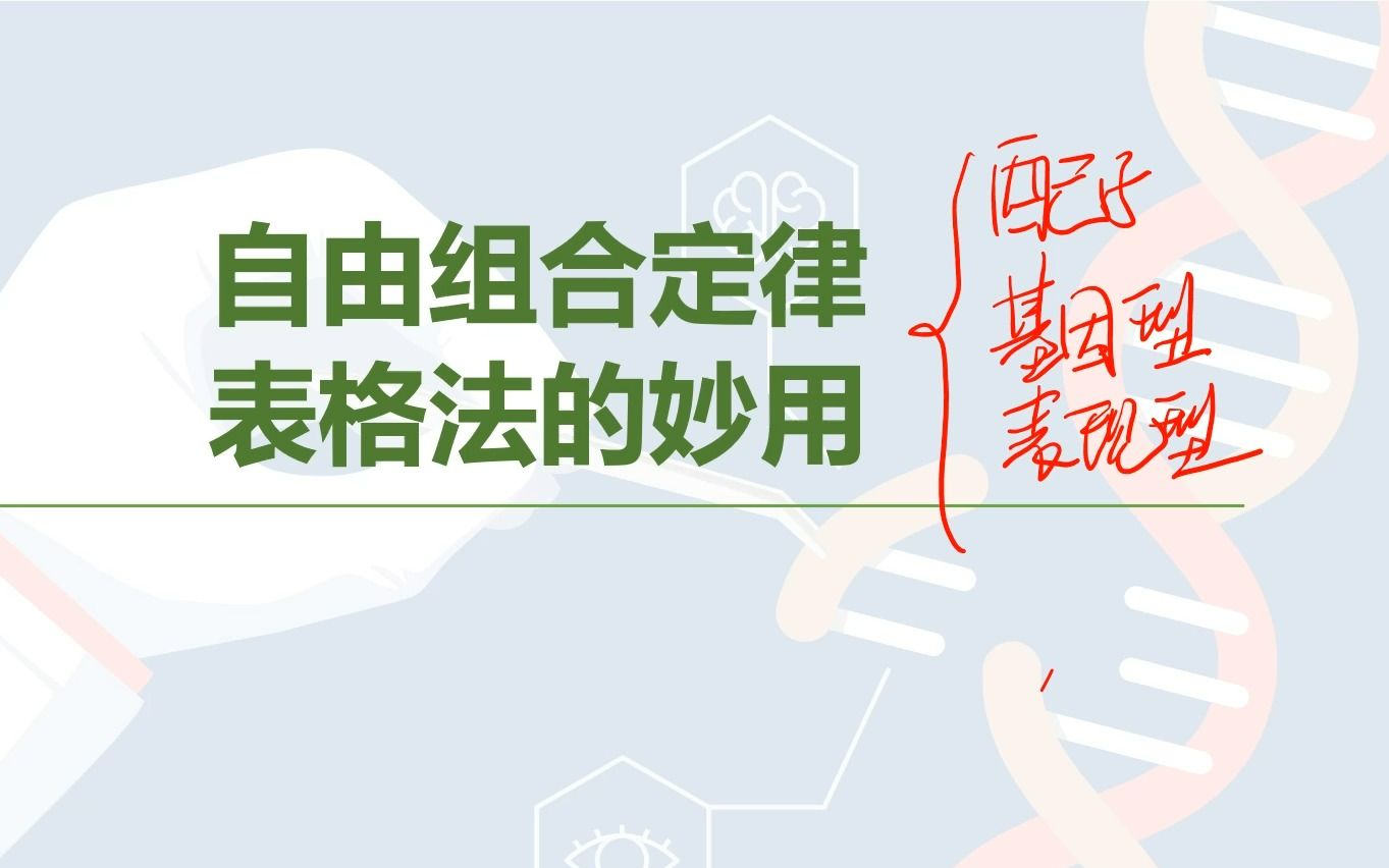 【必修二 · 同步课】1-2-5-自由组合定律-表格法的妙用