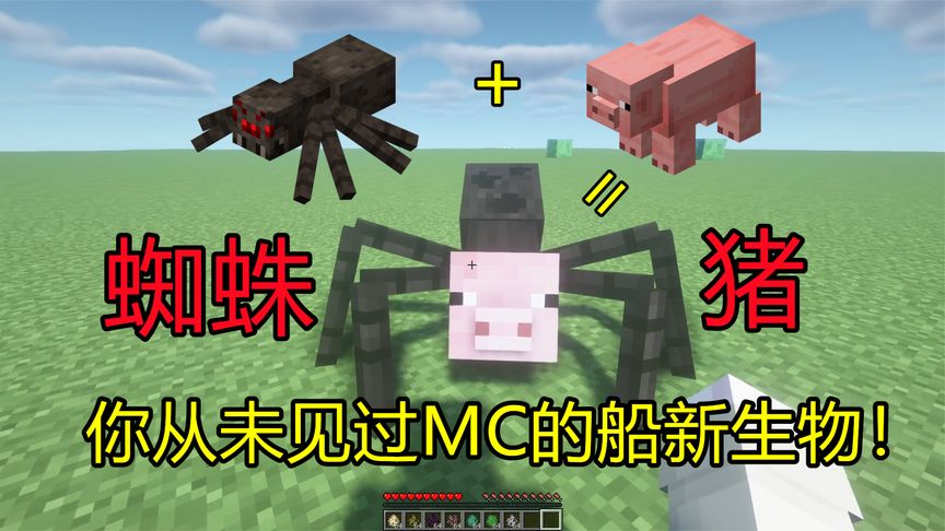 #我的世界模组#突变生物蜘蛛猪?你从未见过的MC船新生物!