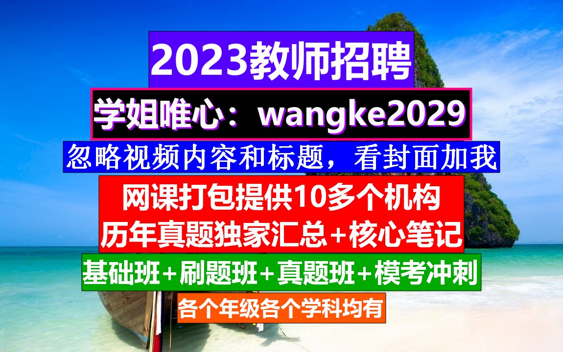 教师招聘美术学科,公办学校教师招聘流程,教师培训计划