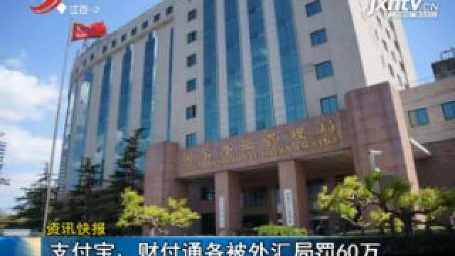 支付宝、财付通各被外汇局罚60万