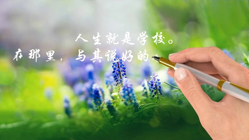 语言的力量丨名人送给你的人生金句,受益一生,感受语言的力量