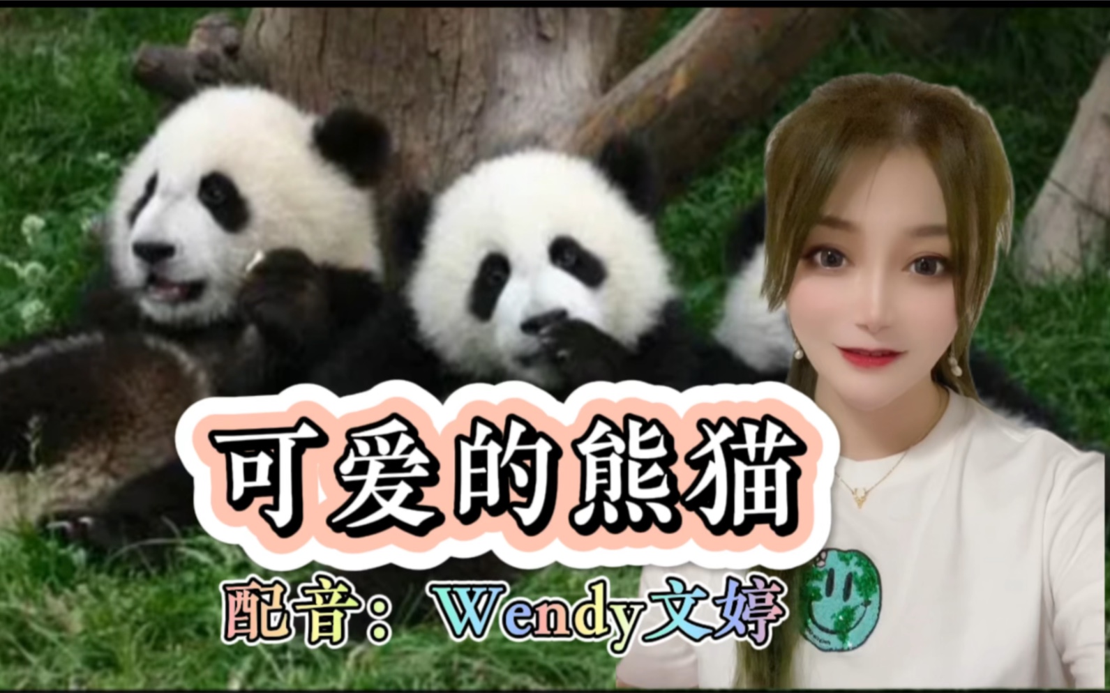 最可爱的熊猫 英文配音