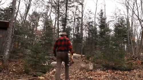 在无人打扰的森林中建造自己的小木屋