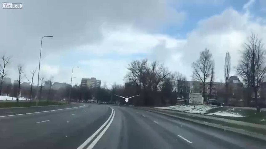 急速行驶的汽车,行车记录仪拍下了这样一幕!