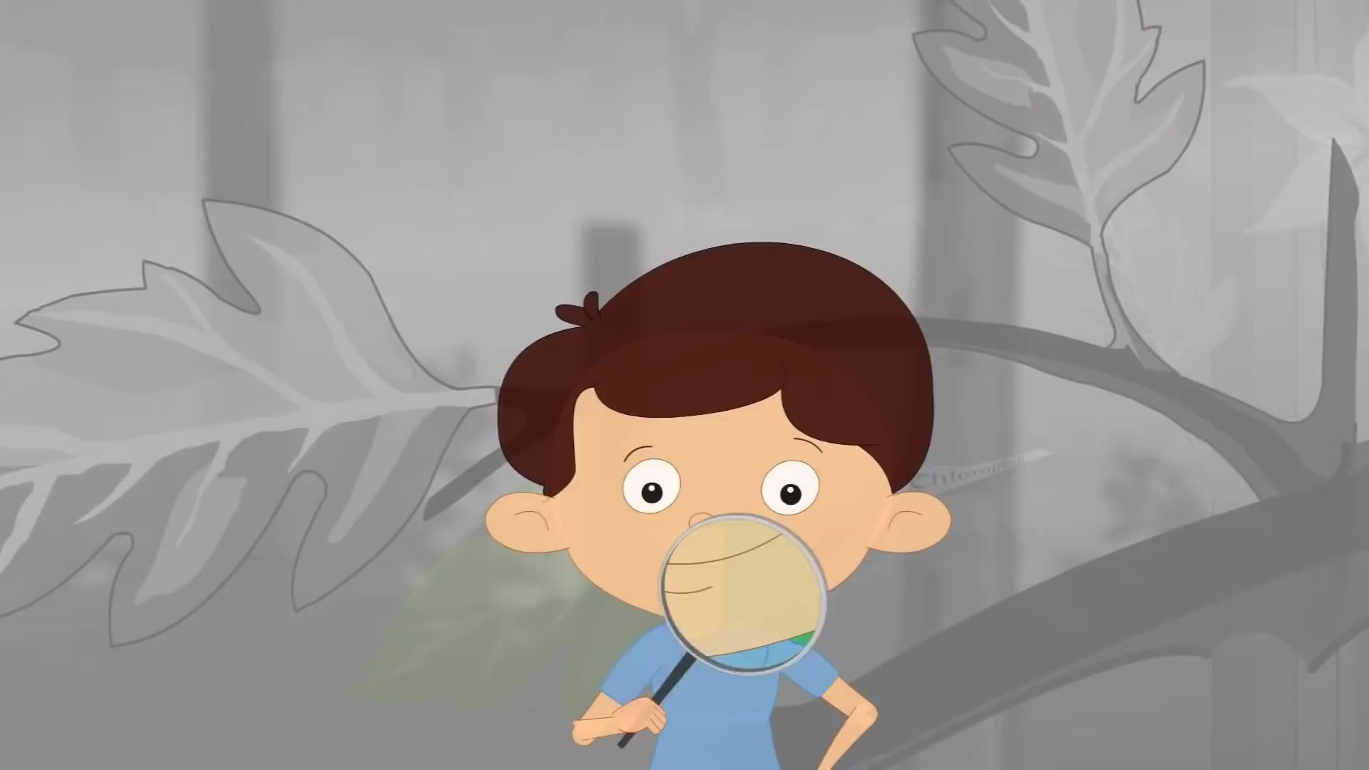 【科普】植物的组成(科学知识锦囊/创客麦克斯搬运)