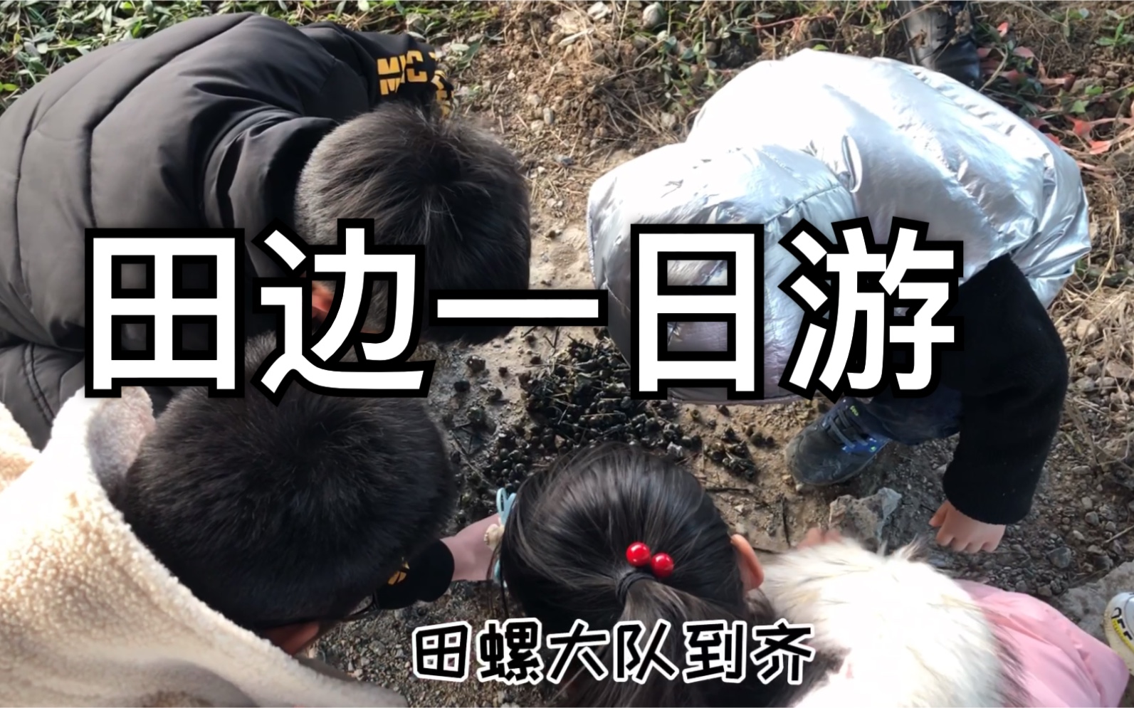 随手记的日常 跟四个小屁孩去田里能干些什么?