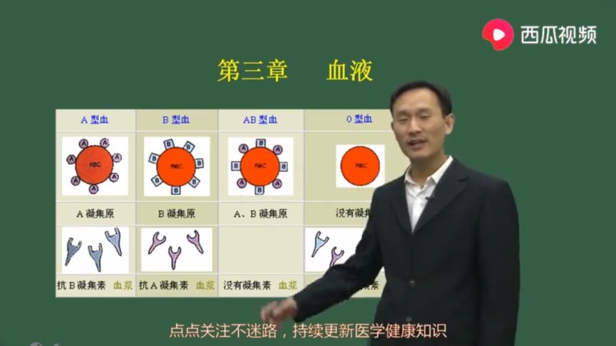 血型和输血原则