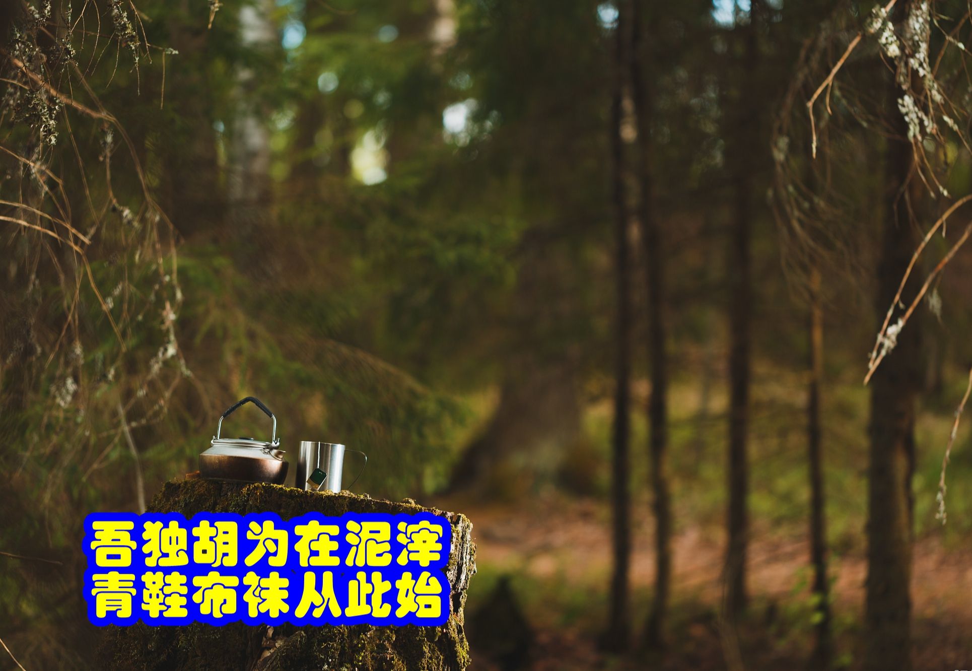 品鉴唐诗 吾独胡为在泥滓 青鞋布袜从此始 杜甫 《奉先刘少府新画山水...