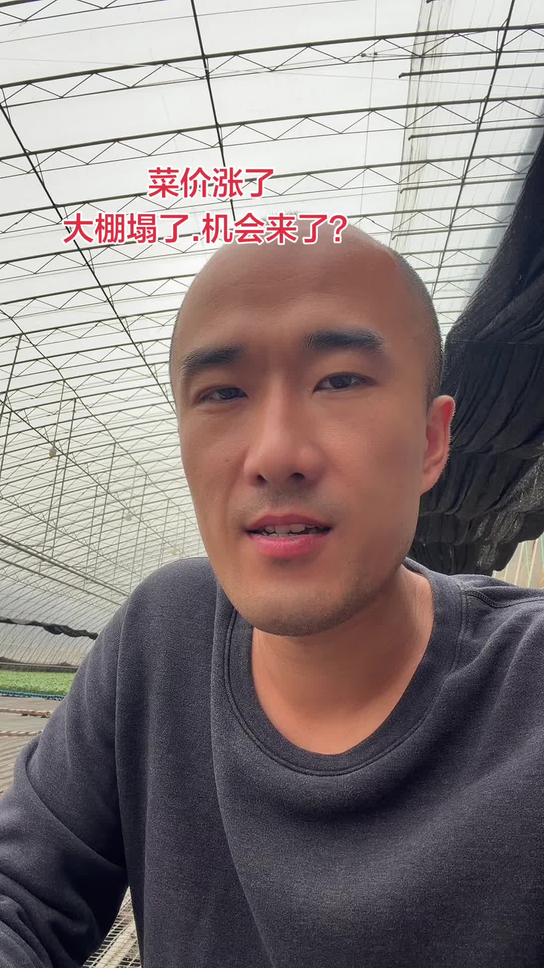 #蔬菜行情 #暴雪影响蔬菜 #大棚种植 #种植户必看 北方暴雪15厘米!...