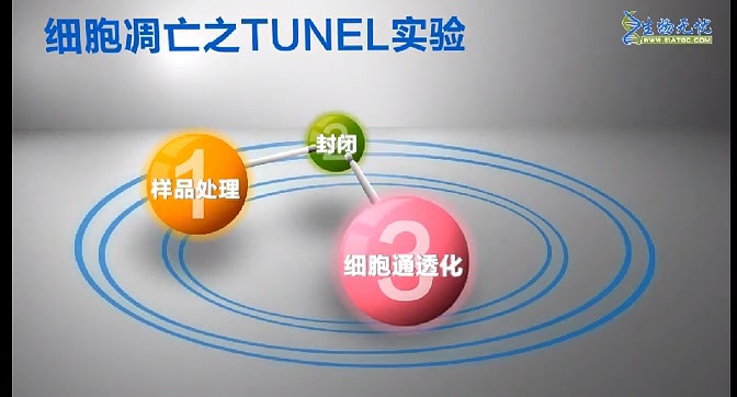 【实验】TUNEL检测细胞凋亡