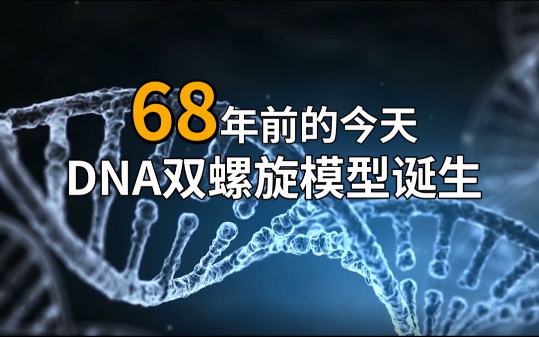68年前的今天,DNA双螺旋模型诞生