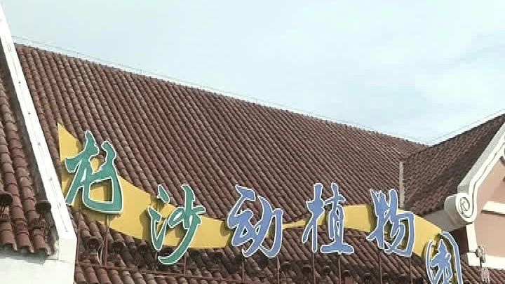 【齐齐哈尔城事】龙沙动植物园动物惬意过冬