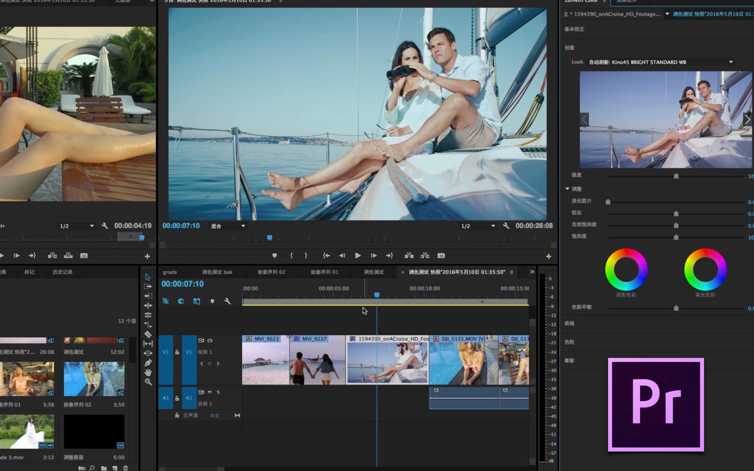 PR调色宝典 14 视觉效果与字幕模板