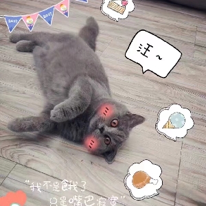 开潜艇的二毛 