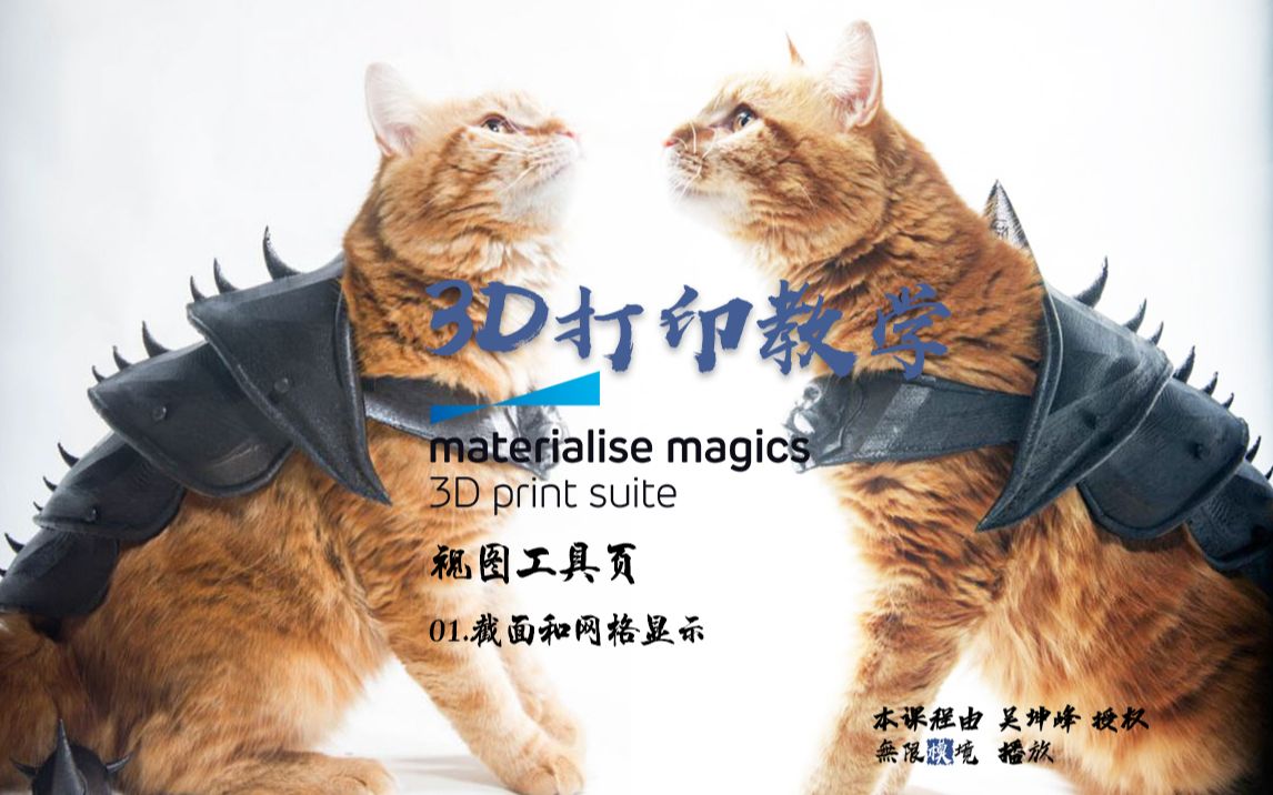 3D打印软件Magics 19使用教程_视图工具页 01.截面和网格显示