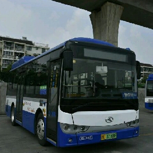 BUSSM 