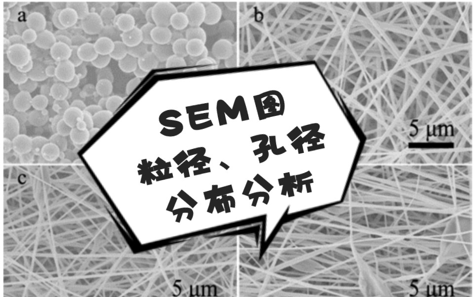 【学术干货】SEM图粒径、孔径测量与统计分布分析