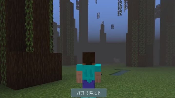 谁知道这是什么模组?