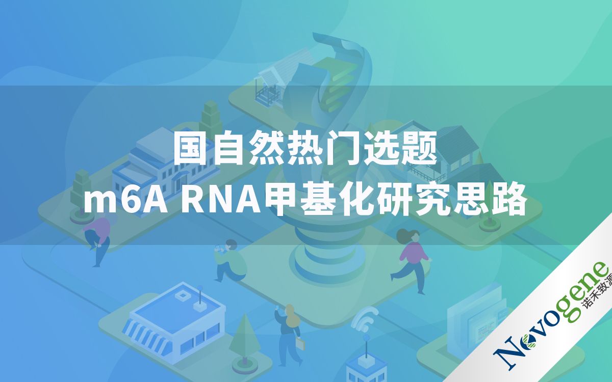 国自然热门选题-m6A RNA甲基化研究思路