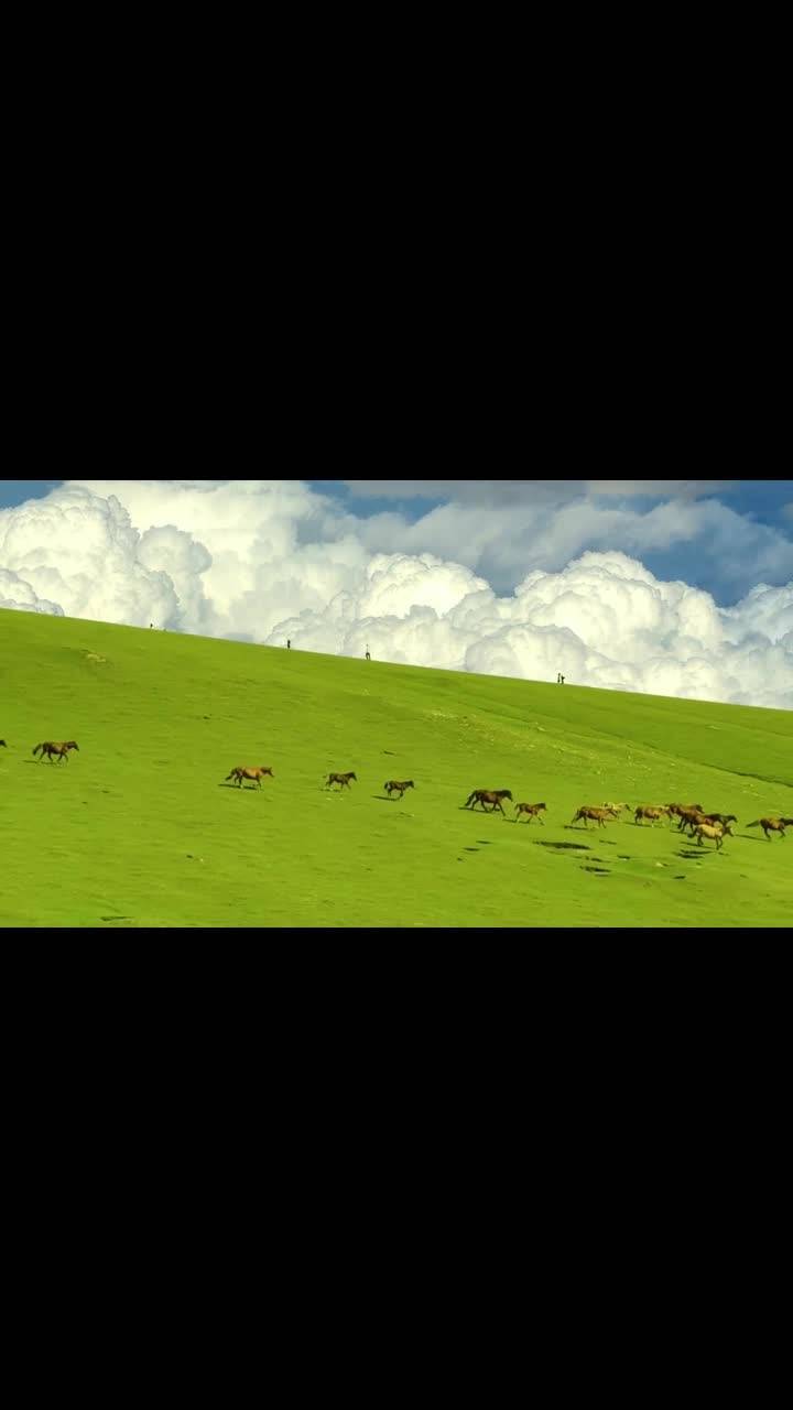 辽阔的土地 生不出狭窄的爱