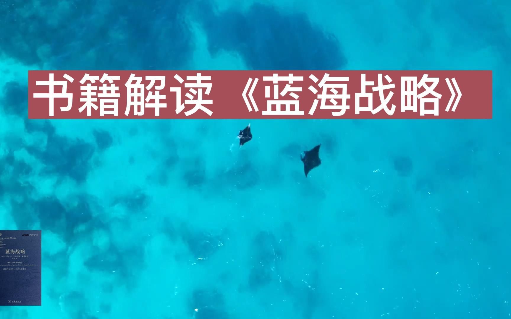 书籍解读|《蓝海战略》