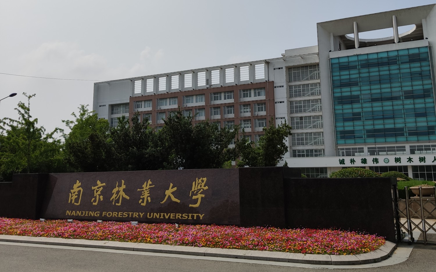 有个地方叫南京林业大学淮安校区。