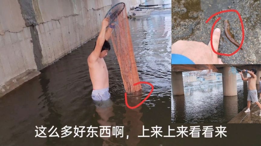 农村小伙第一次撒39块钱圆盘网,原来撒网这么简单,看都网到啥