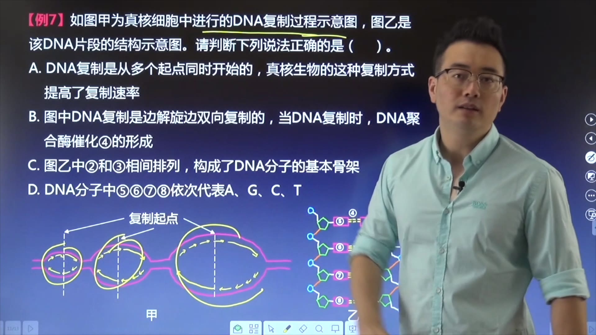 DNA复制计算问题(四)