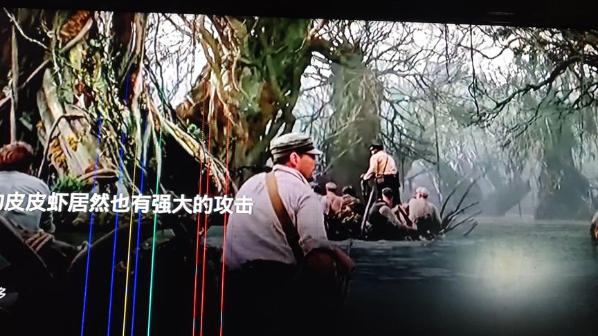 原始森林有多可怕