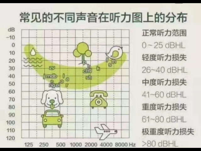 什么是听力障碍?听力障碍俗称耳聋,是指各种原因导致人听觉困难,听...