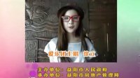陈慧琳、凤凰传奇益阳演唱会电视宣传片2