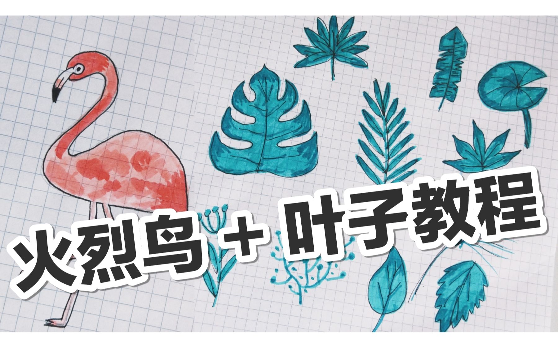 【Vikki】一起来画火烈鸟 | 火烈鸟和叶子的画法教程 | Draw With Me