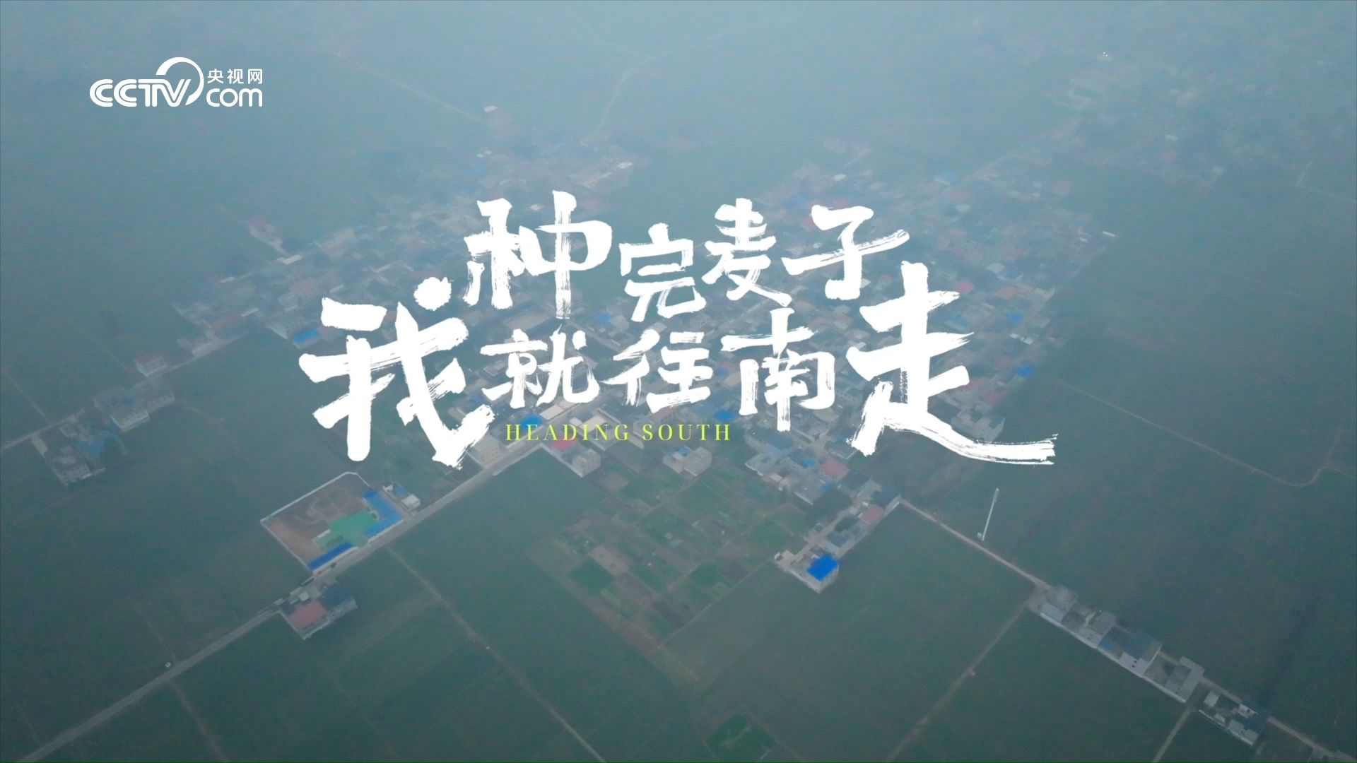 独家记录|种完麦子就往南走的麦子阿姨,全程纪录片来了