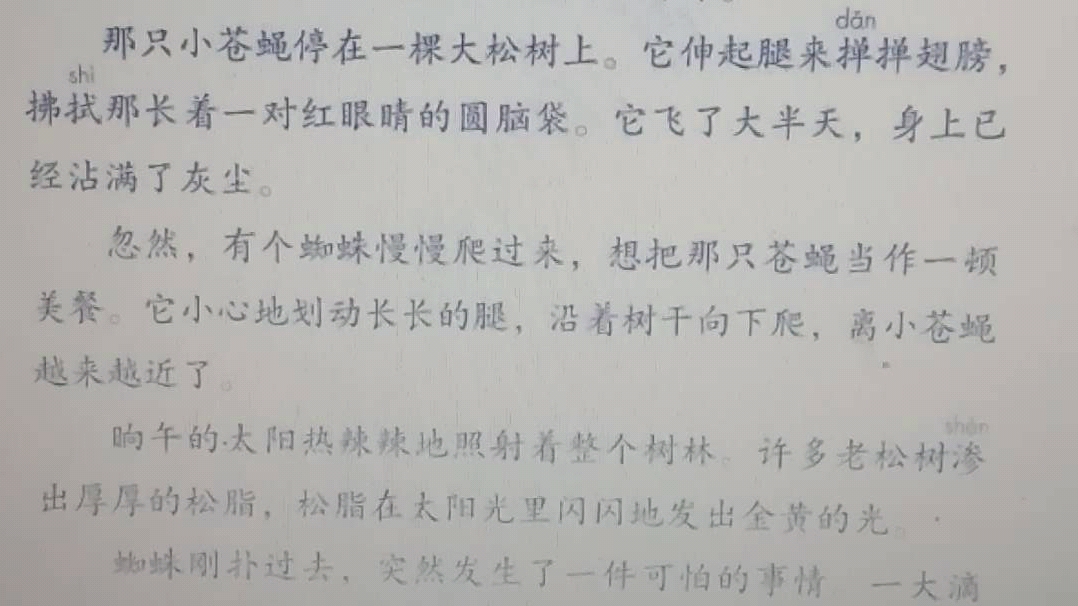 5.琥珀-课文朗读-部编小学语文四年级下册